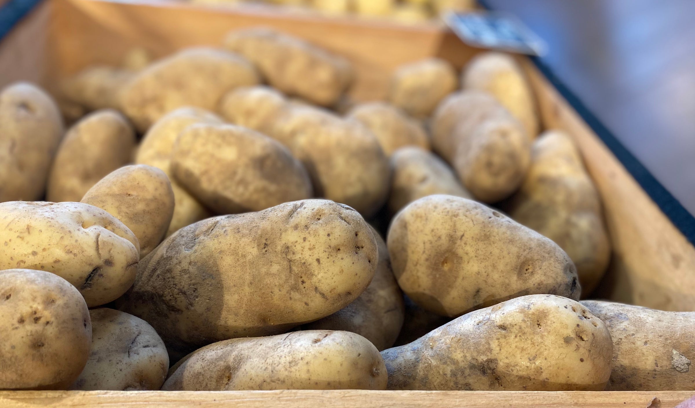 Potatoes WHOLESALE | Harvest Lane Farm Market
