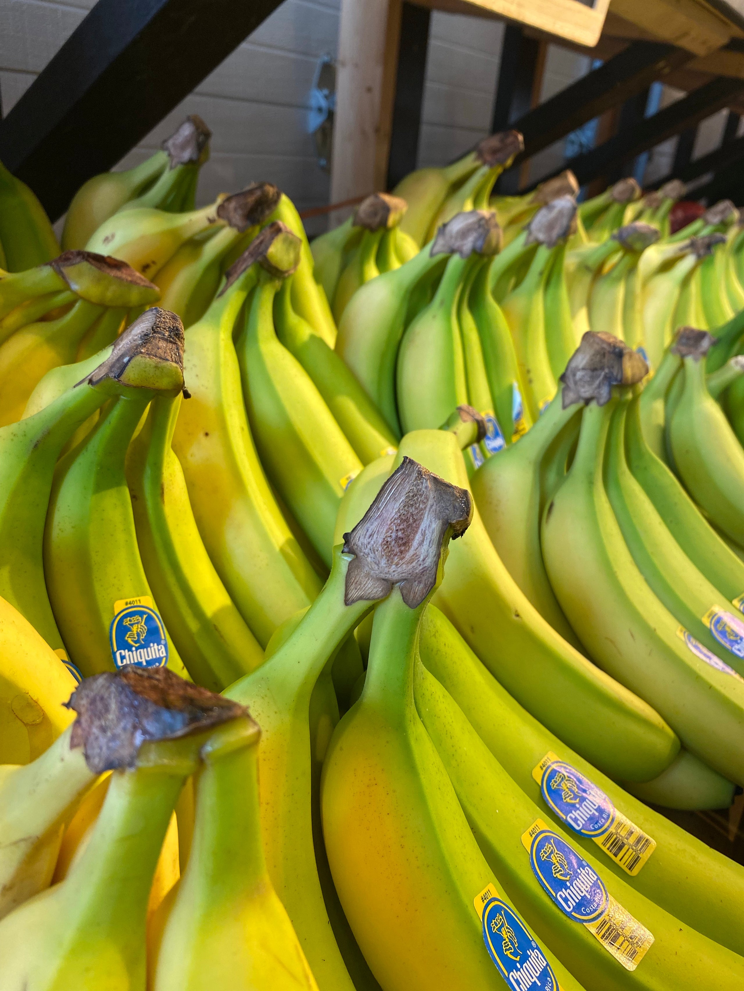 Bananas WHOLESALE | Harvest Lane Farm Market