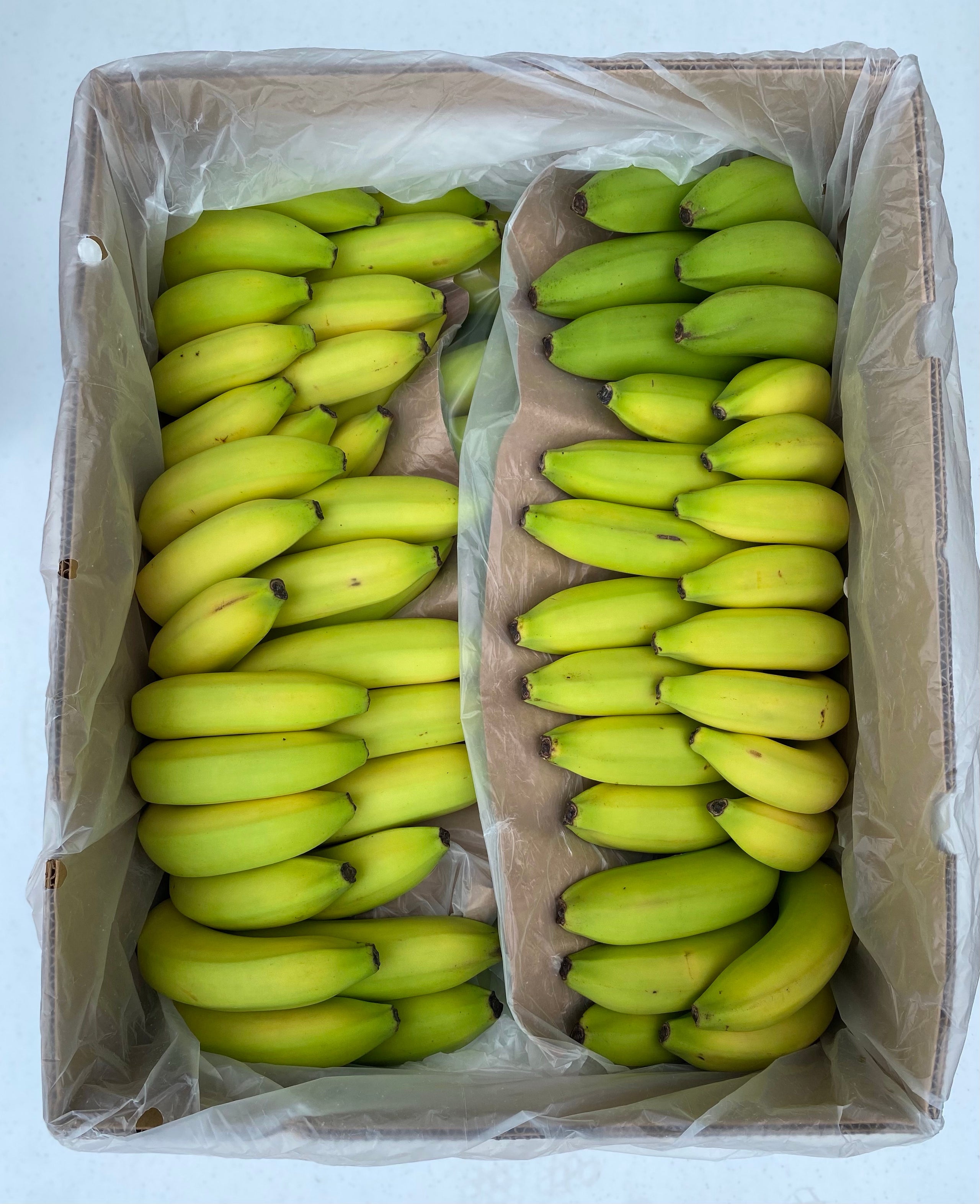Bananas WHOLESALE | Harvest Lane Farm Market