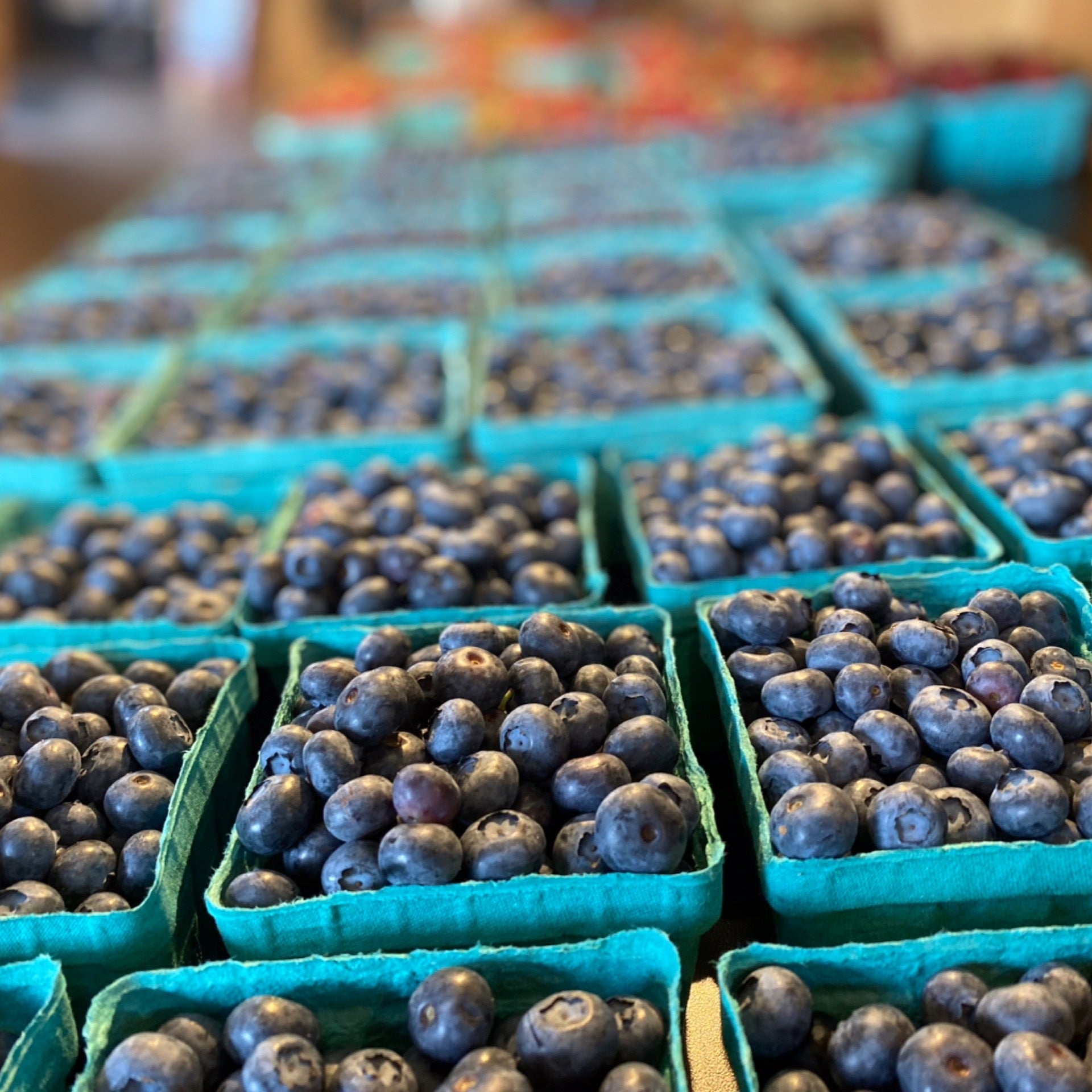 Blueberries | Harvest Lane Farm Market